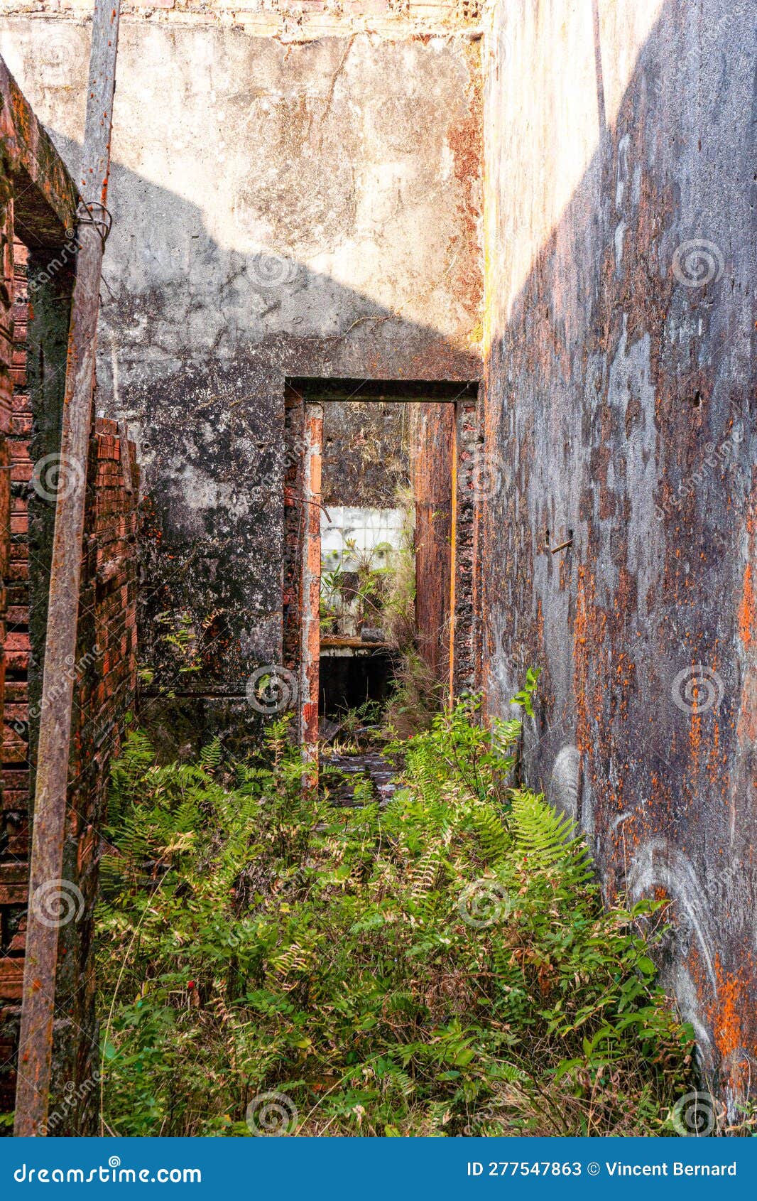 Urbex Exploration of Old Tattied Houses with Mark of Rust and Open Roof ...
