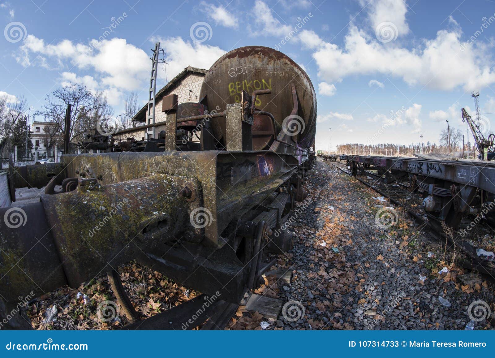 Urbex. Rusty and Abandoned Train Cars Stock Image - Image of ...