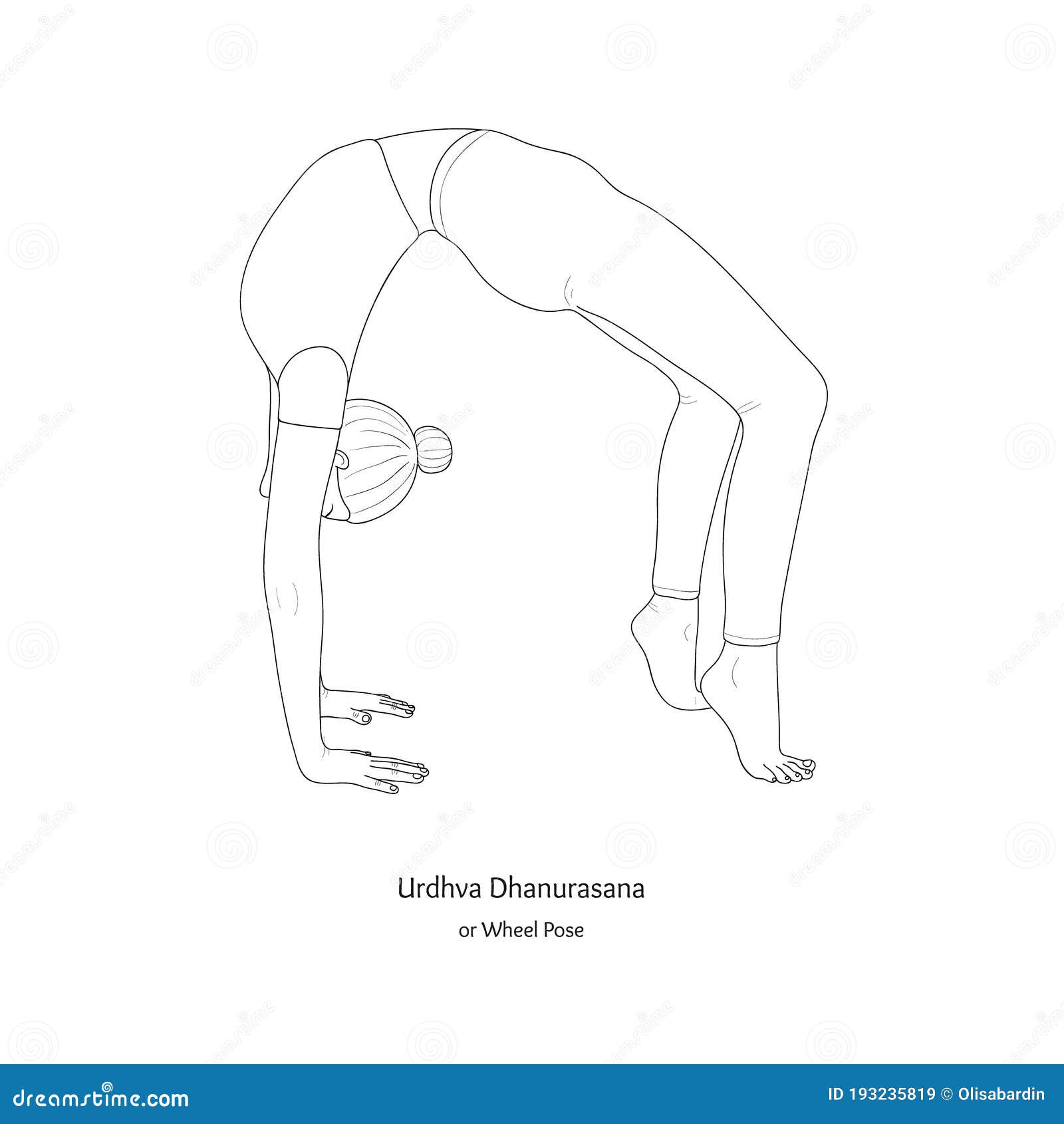 Urdhva Dhanurasana Pose, Yoga Exercise. Vector Silhouette Woman And ...