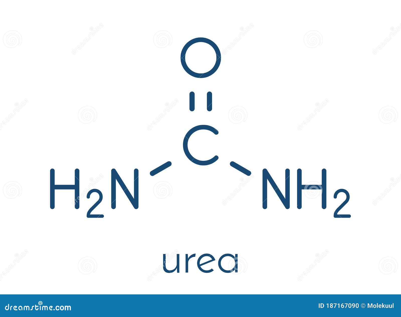 Estructura De Lewis De La Urea Youtube