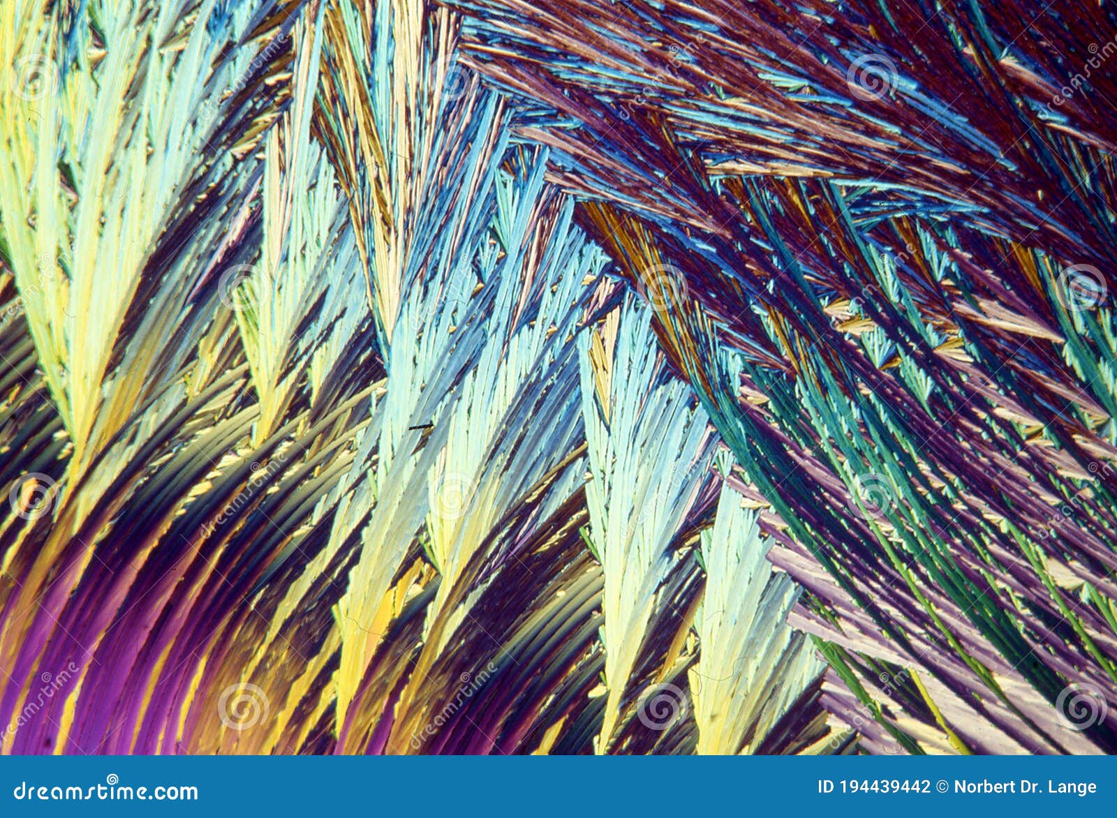 Urea Crystals in Polarized Light Stock Photo - Image of investigation ...