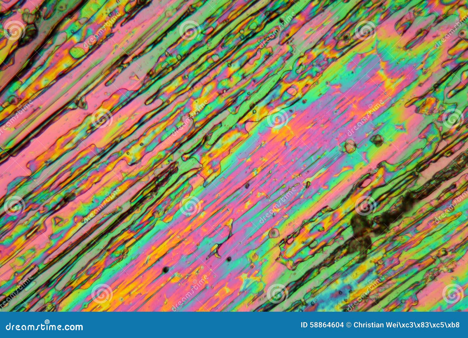 Urea Crystals Under the Microscope. Stock Photo - Image of biology ...