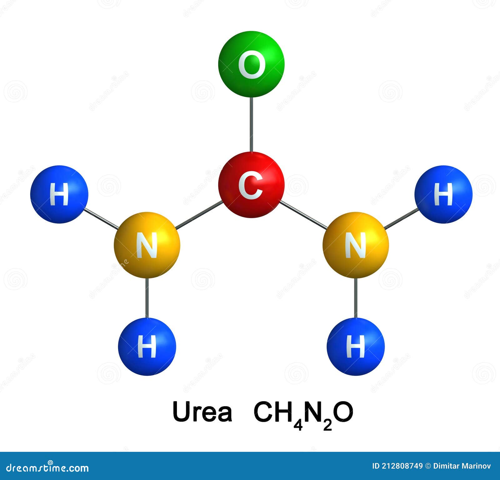 Urea Molecule