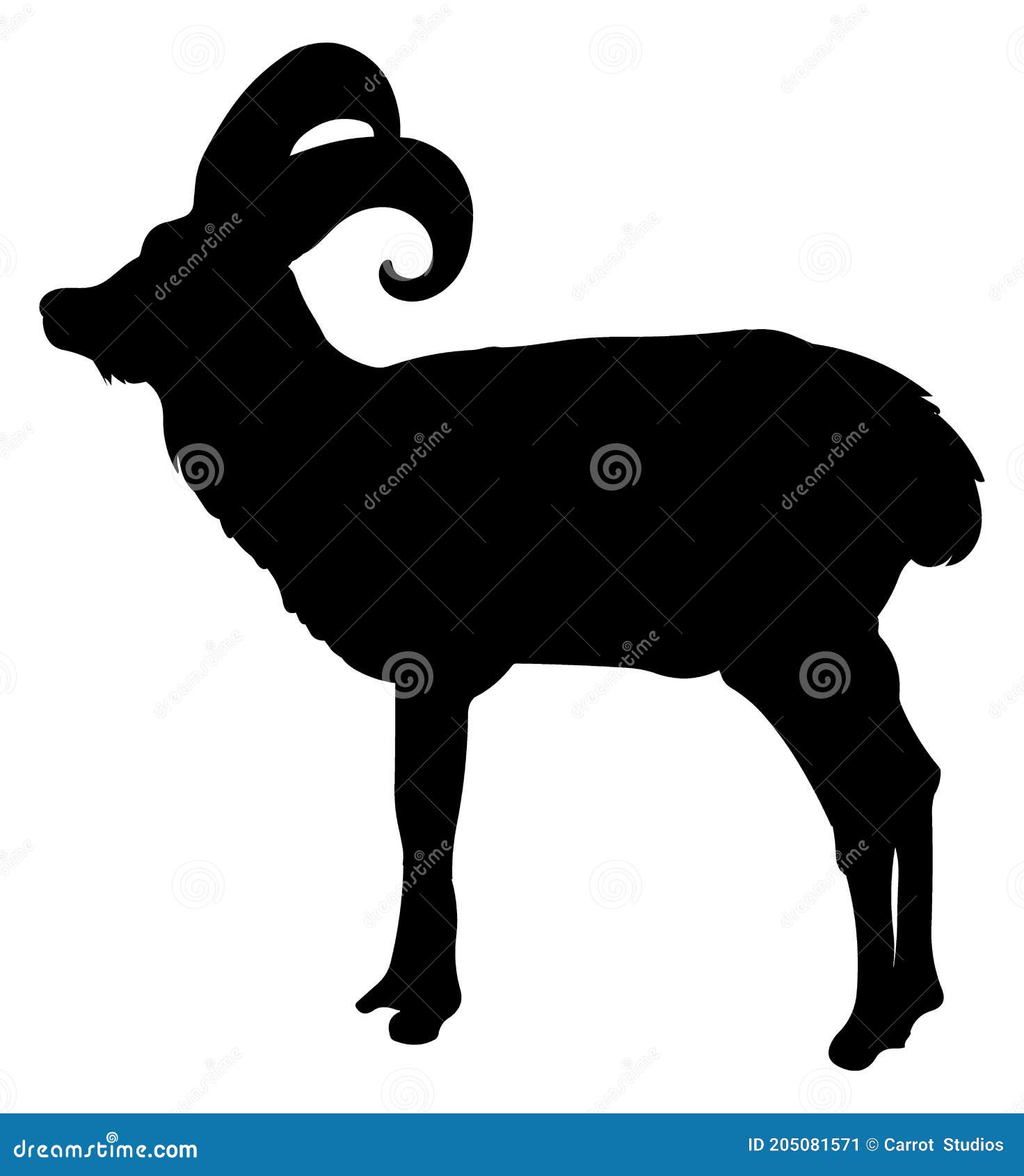 Urial Silhouette Vector Illustration In White Background ...