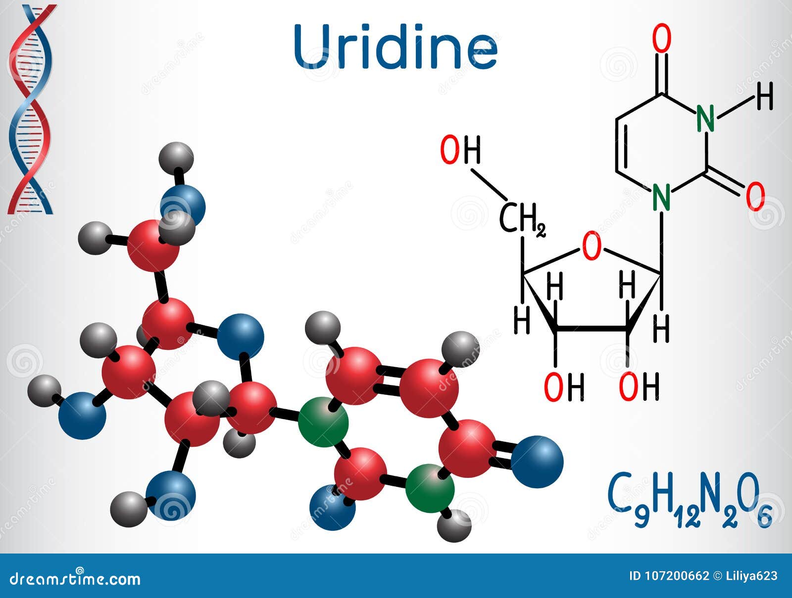 Uridine Nucleoside Molecule. Building Block Of RNA. Skeletal Formula ...