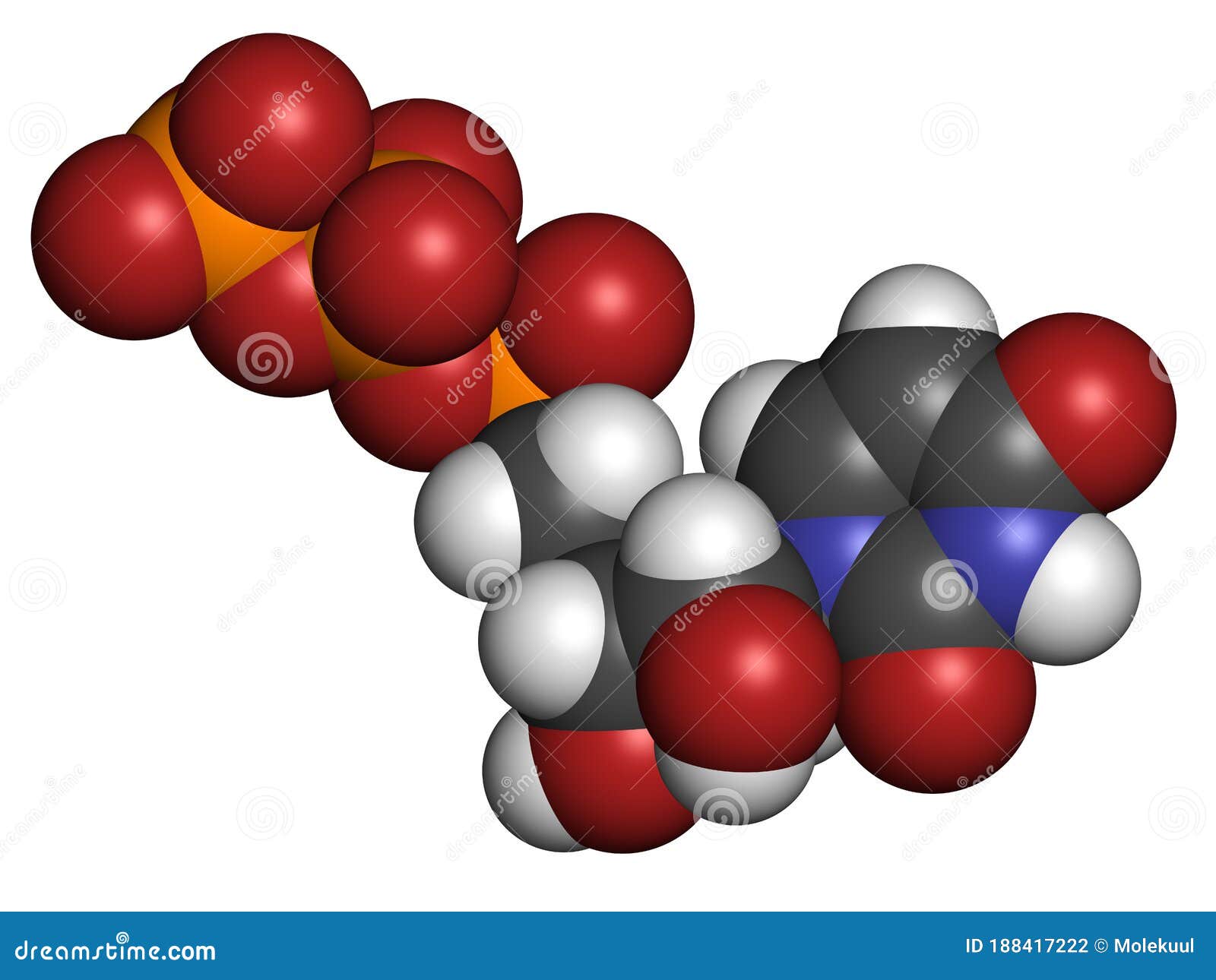 Uridine Triphosphate UTP Nucleotide Molecule. Building Block Of RNA ...