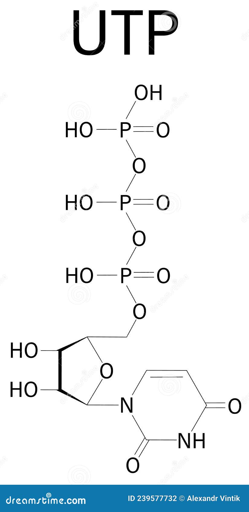 Uridine Triphosphate
