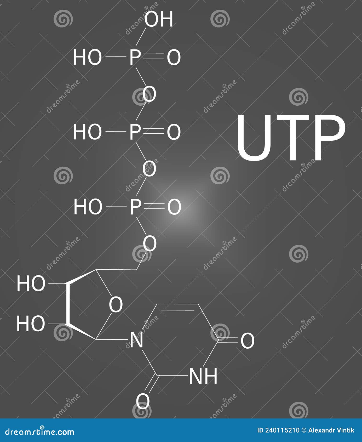 Uridine Triphosphate UTP Nucleotide Molecule. Building Block Of RNA ...