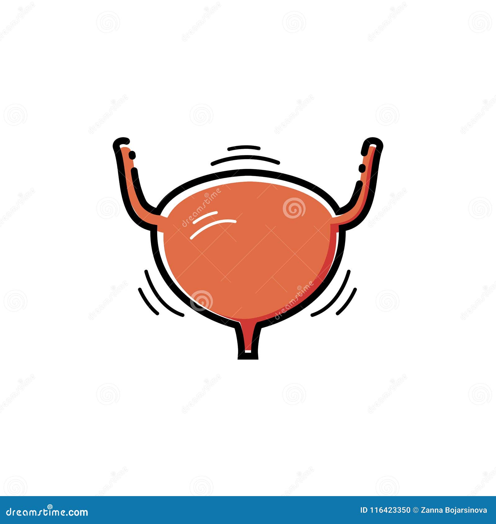 Bladder. Vector Drawing | CartoonDealer.com #145561263