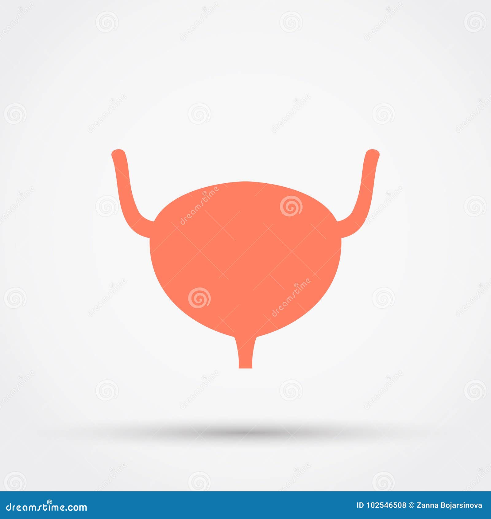 Bladder. Vector Drawing | CartoonDealer.com #87547689