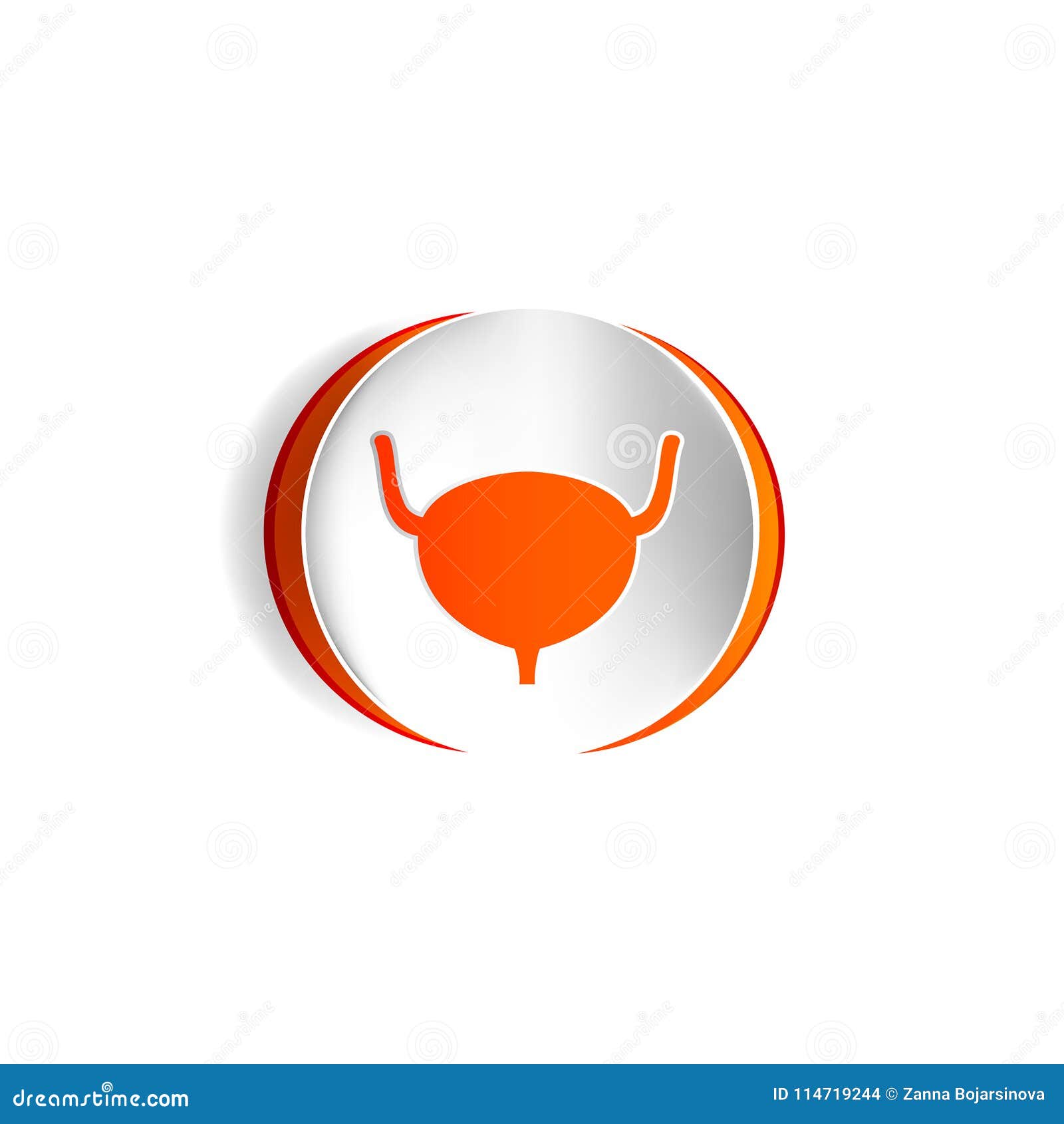 Bladder. Vector Drawing | CartoonDealer.com #87547689