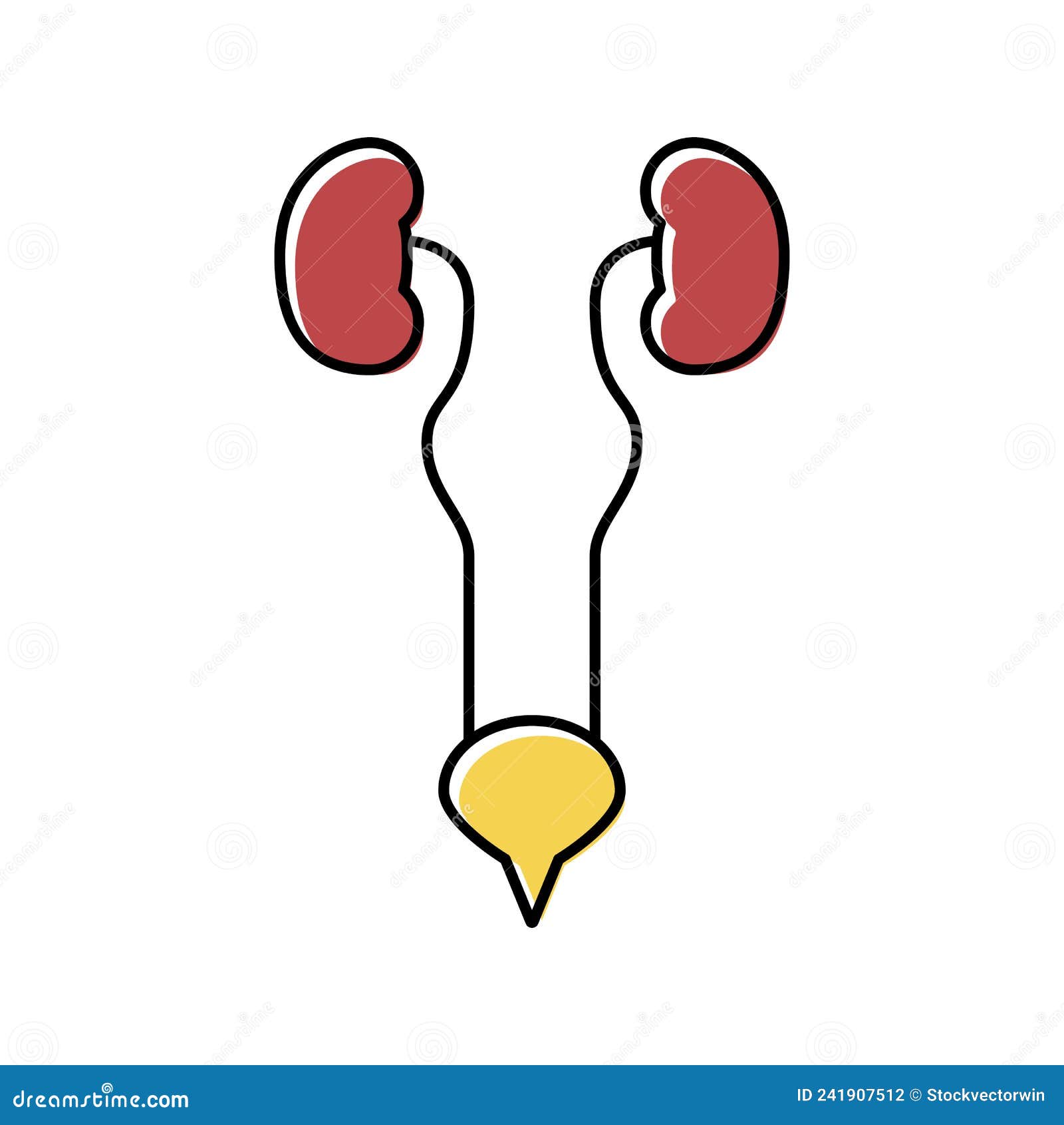 Urinary System Color Icon Vector Illustration Stock Vector ... Urinary System Color Icon Vector Illustration Stock Vector ...
