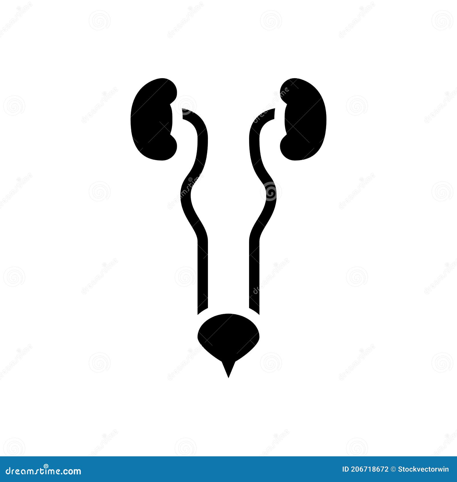 Urinary System Glyph Icon Vector Illustration Stock Illustration