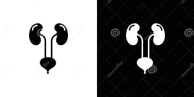 Urinary System Icon Linear Logo Isolated Stock Vector - Illustration of ...