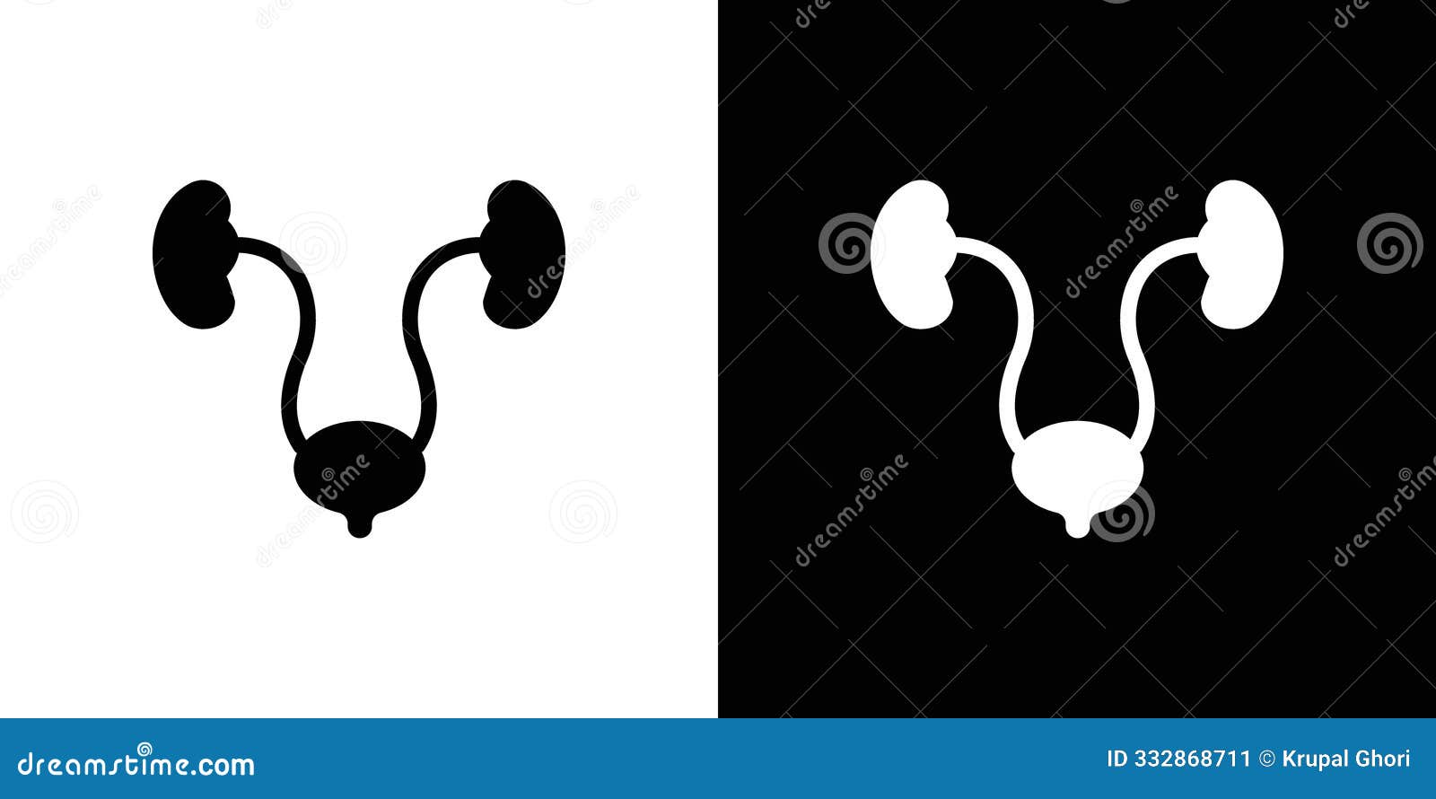 Urinary System Icon Logo Set Vector Stock Vector - Illustration of ...