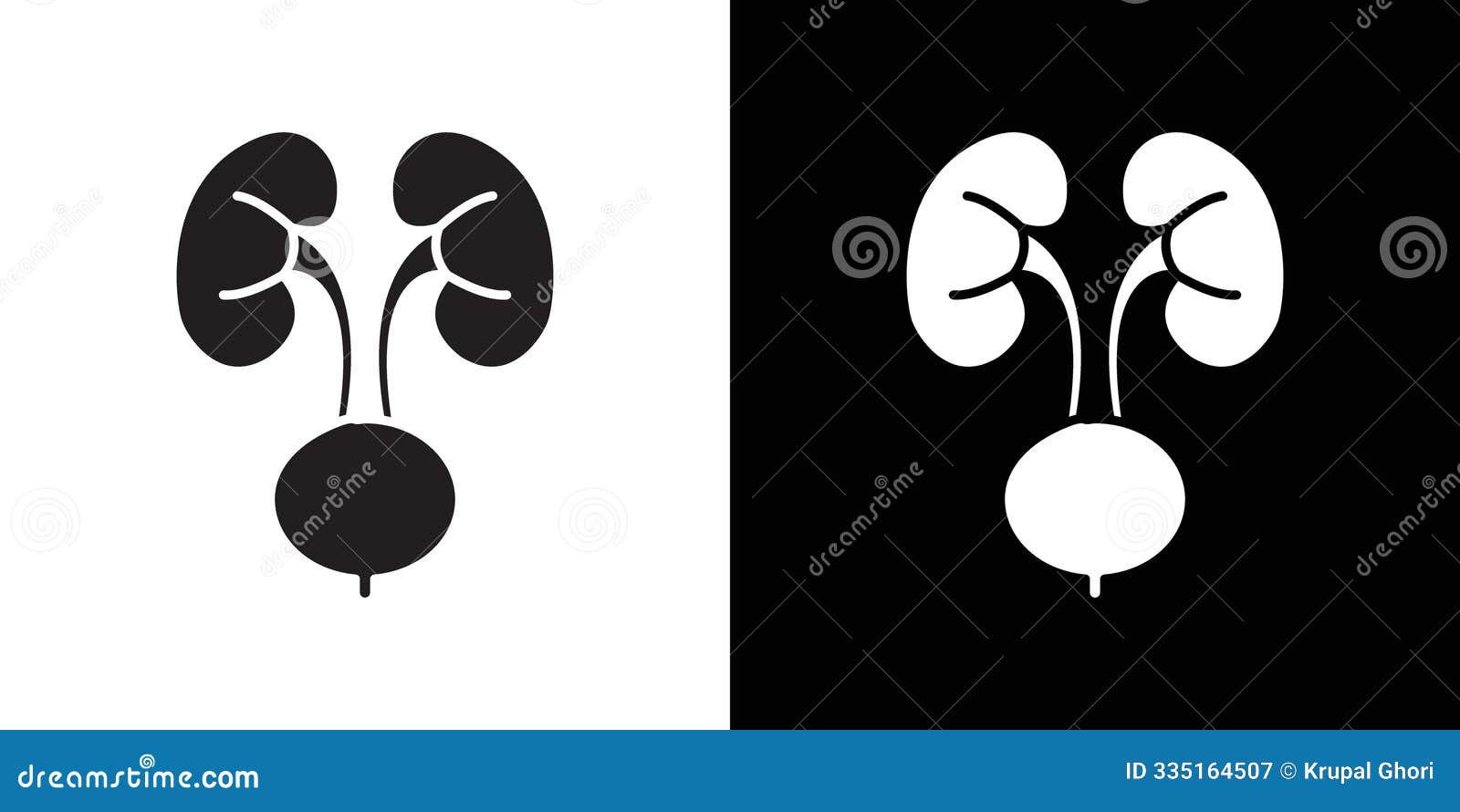 Urinary System Icon Thin Line Flat Illustration Stock Illustration ...