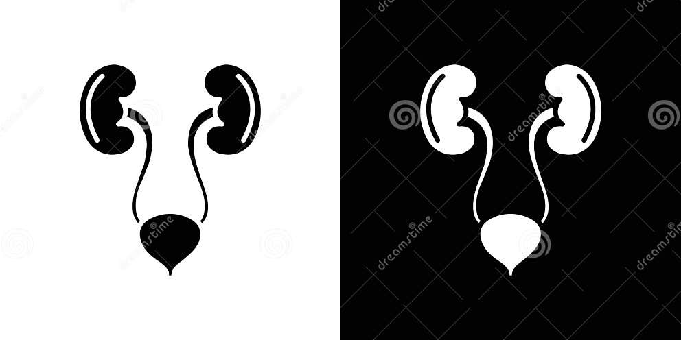 Urinary System Icon Isolated Flat Vector in Outline Stock Illustration ...