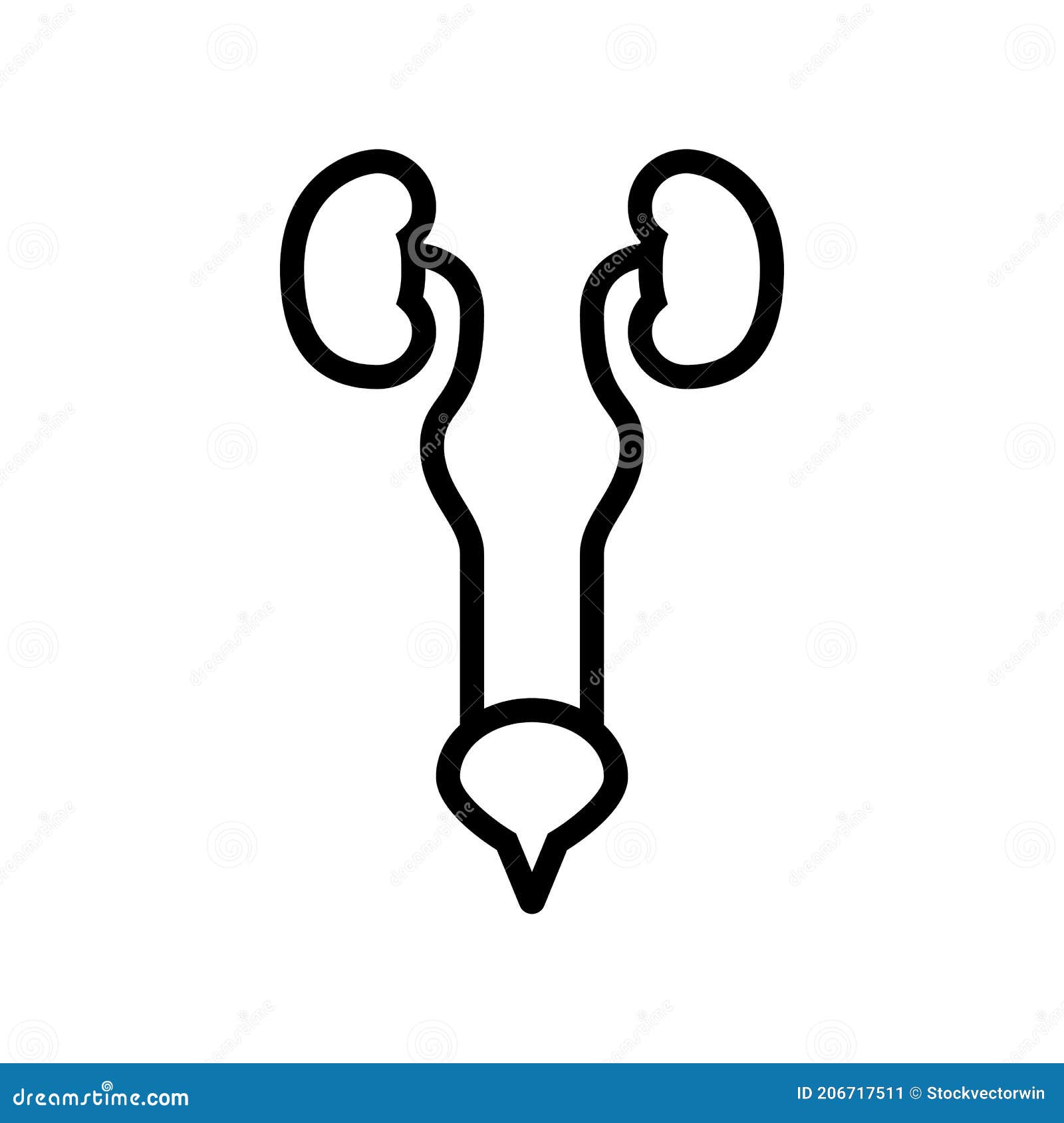Urinary System Line Icon Vector Illustration Stock Illustration ...