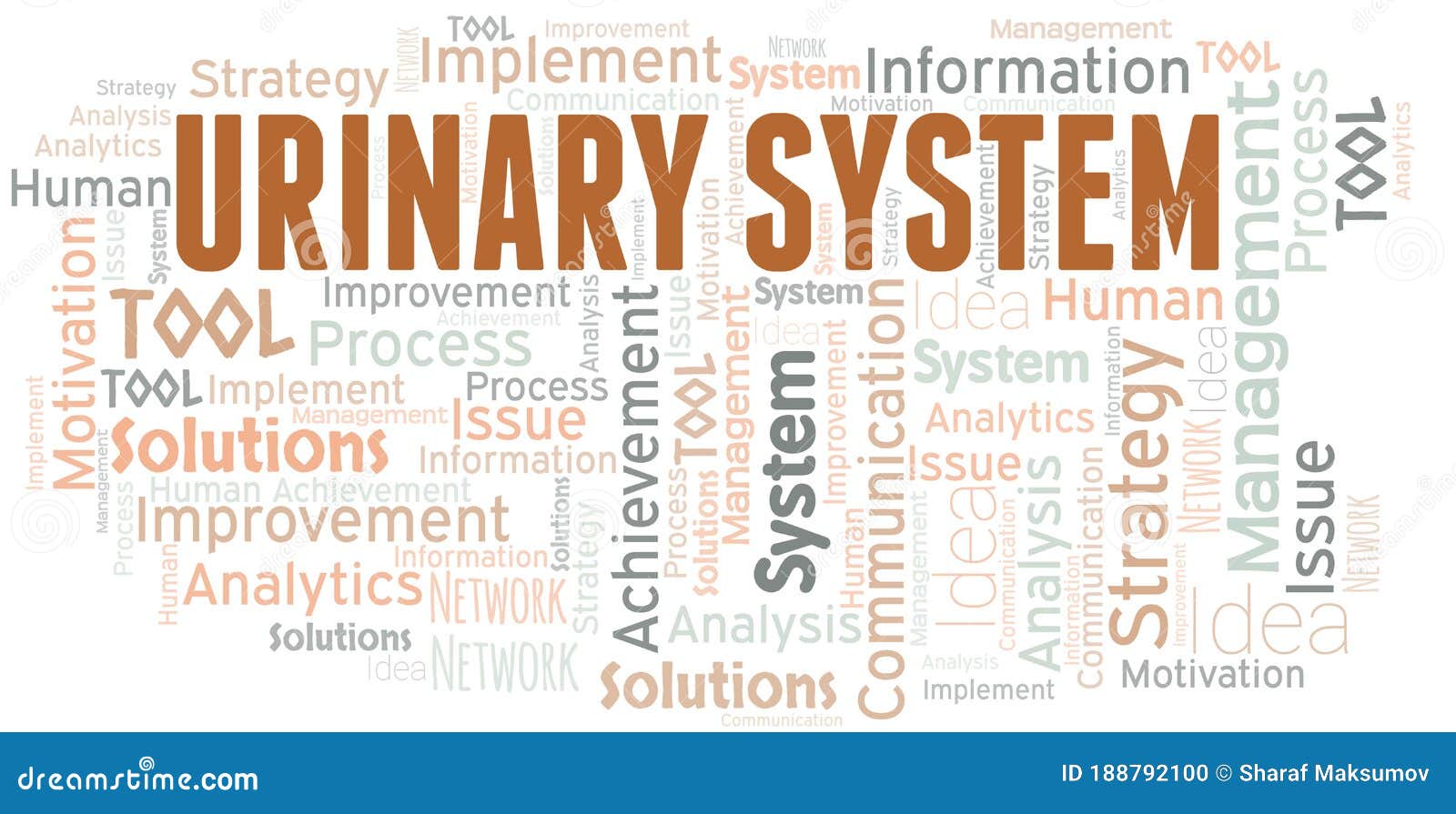 Urinary System Typography Vector Word Cloud. Stock Vector ...