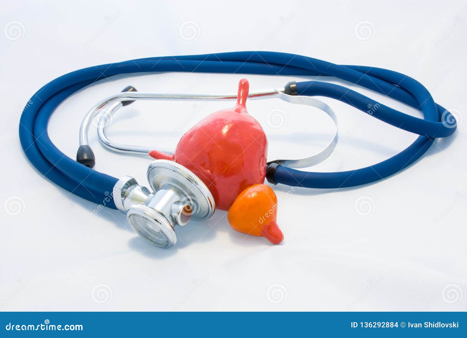 Urine Bladder Suprapubic Puncture Biopsy Or Cystoscopy Procedure ... Urine Bladder Suprapubic Puncture Biopsy Or Cystoscopy Procedure ...