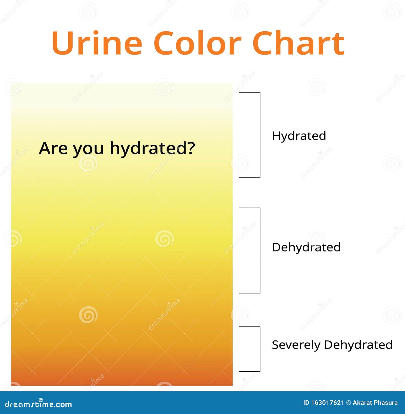 Urine Color Chart, Urine In Test Tubes, Medical Vector | CartoonDealer ... Urine Color Chart, Urine In Test Tubes, Medical Vector | CartoonDealer ...
