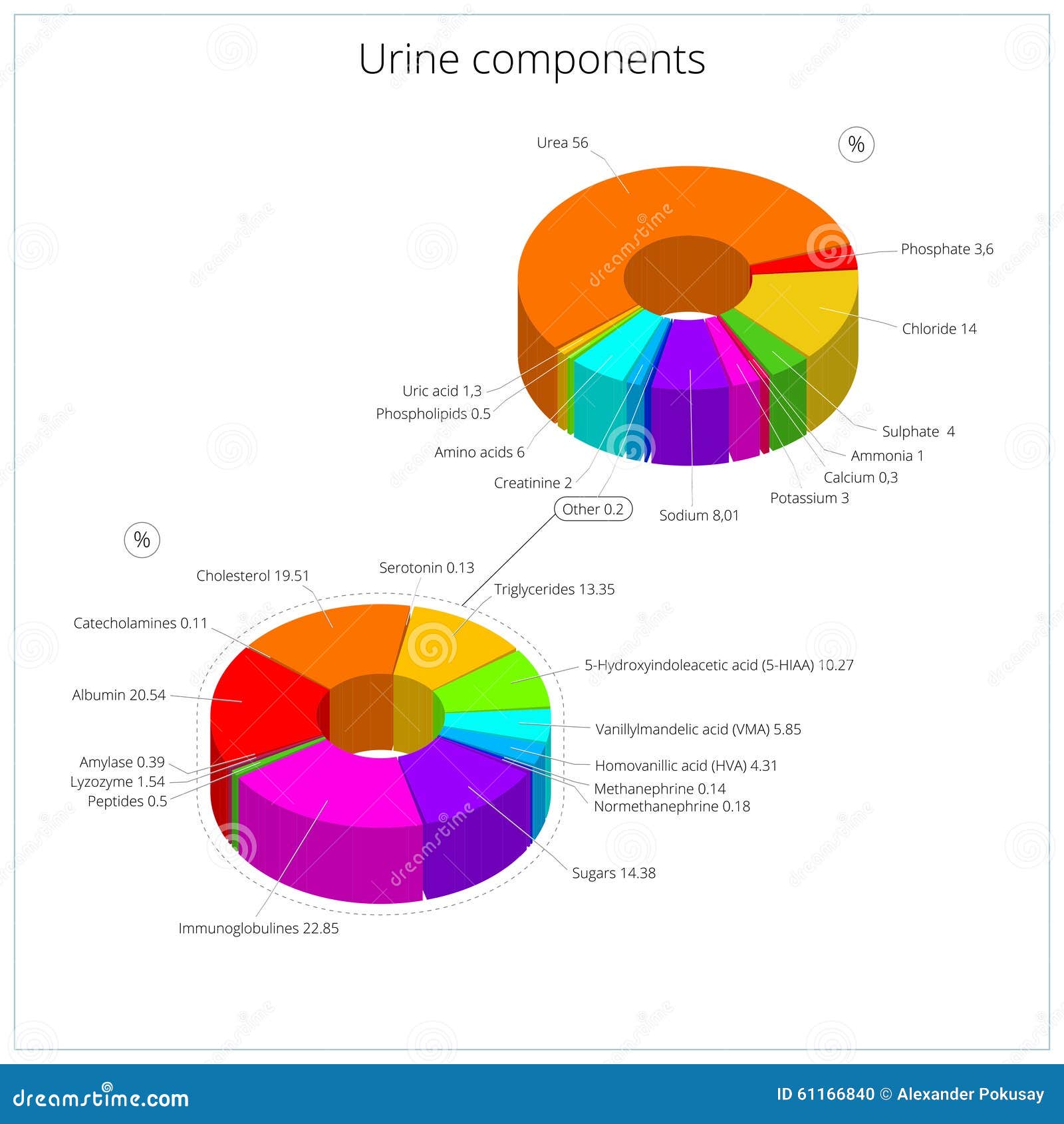 Urine Components Medical Vector Illustration Stock Vector ...