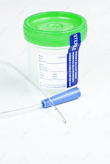 Urine Sample stock image. Image of petri, sample, science - 51810763