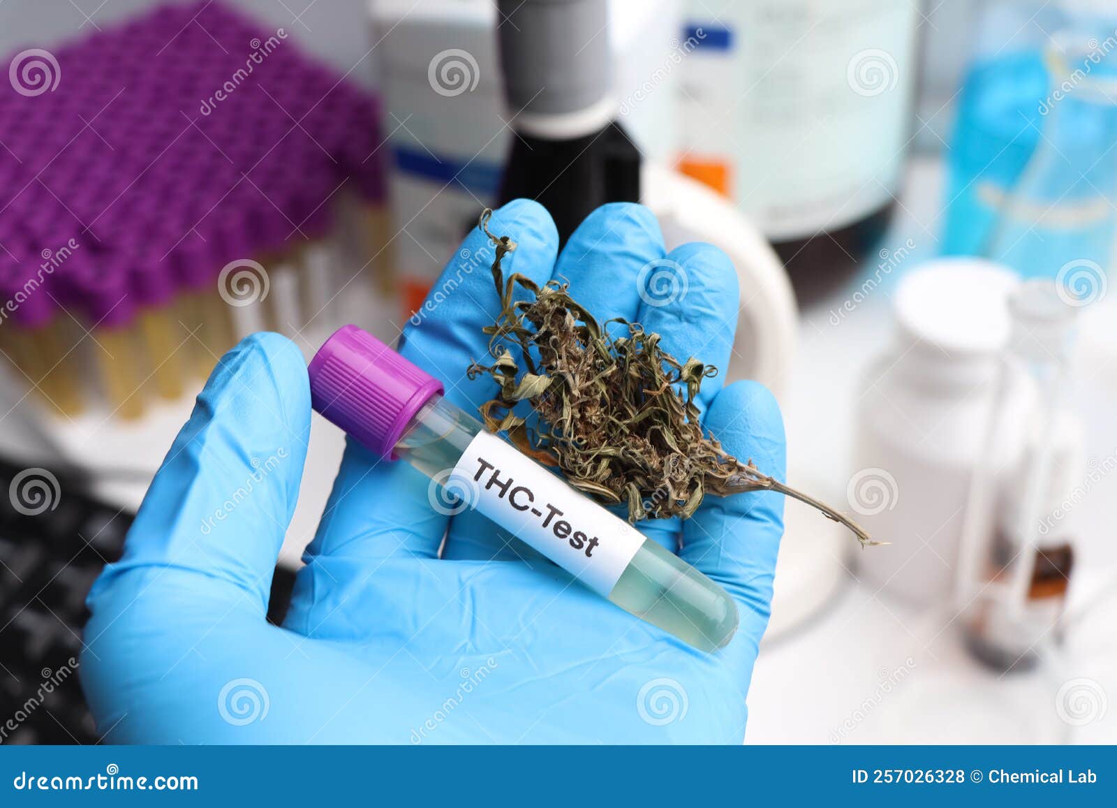 Urine Samples for Testing THC in the Laboratory Stock Photo - Image of ... Urine Samples for Testing THC in the Laboratory Stock Photo - Image of ...
