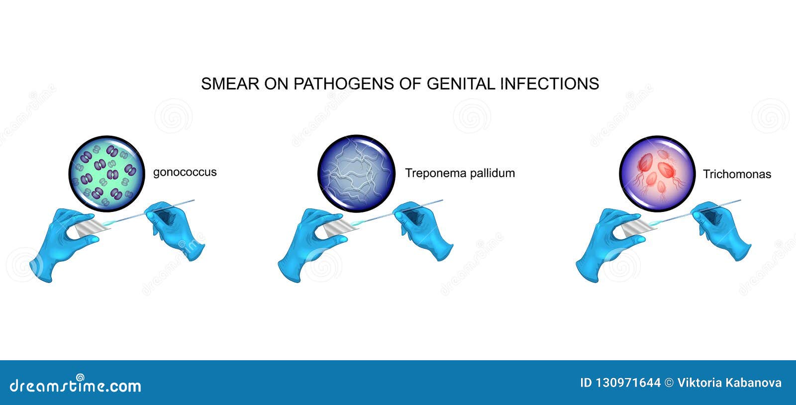 Chlamydial Cartoons, Illustrations & Vector Stock Images - 14 Pictures ...