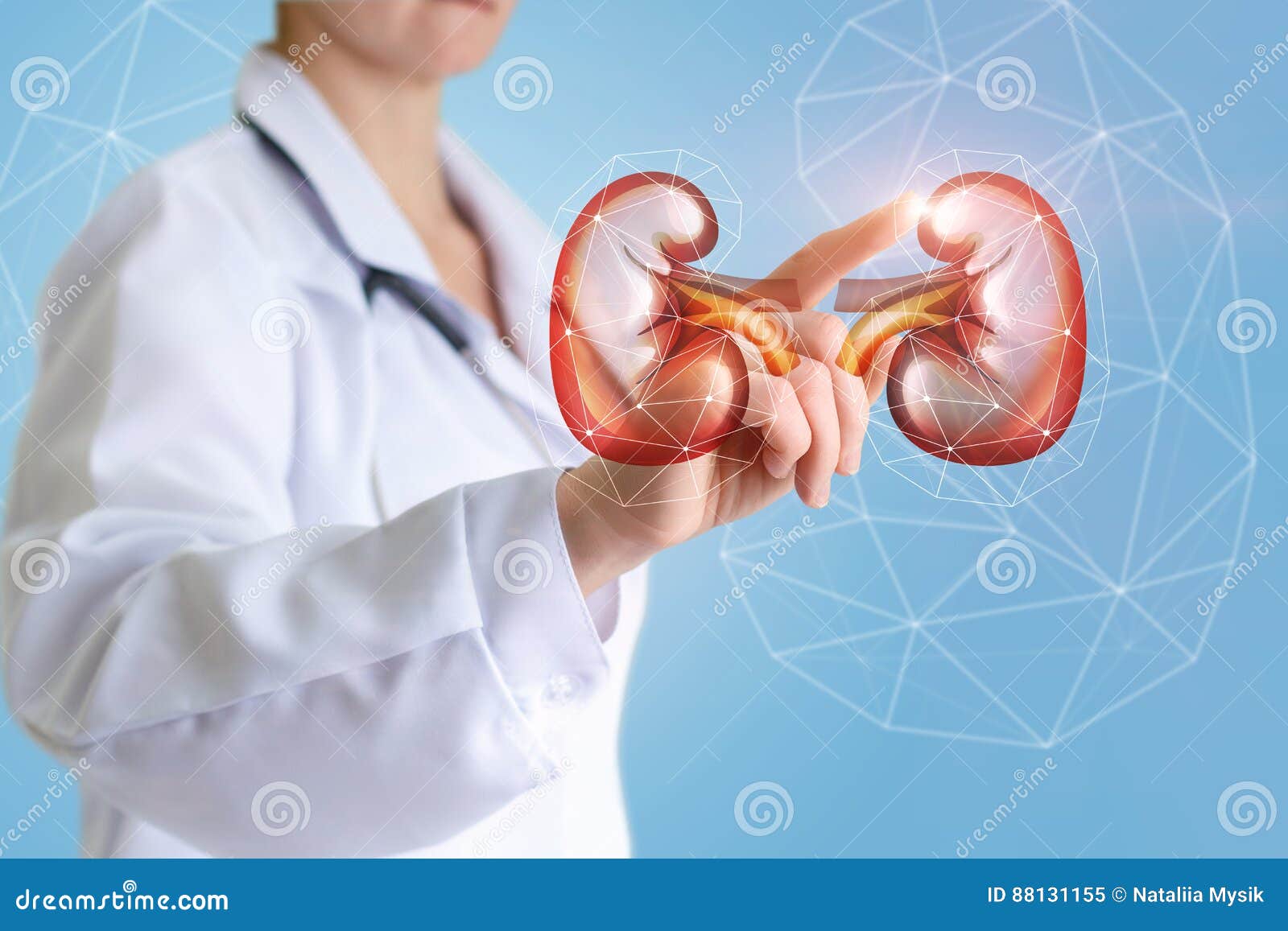 Urologist Shows on-screen of a Kidney. Stock Image - Image of health ...