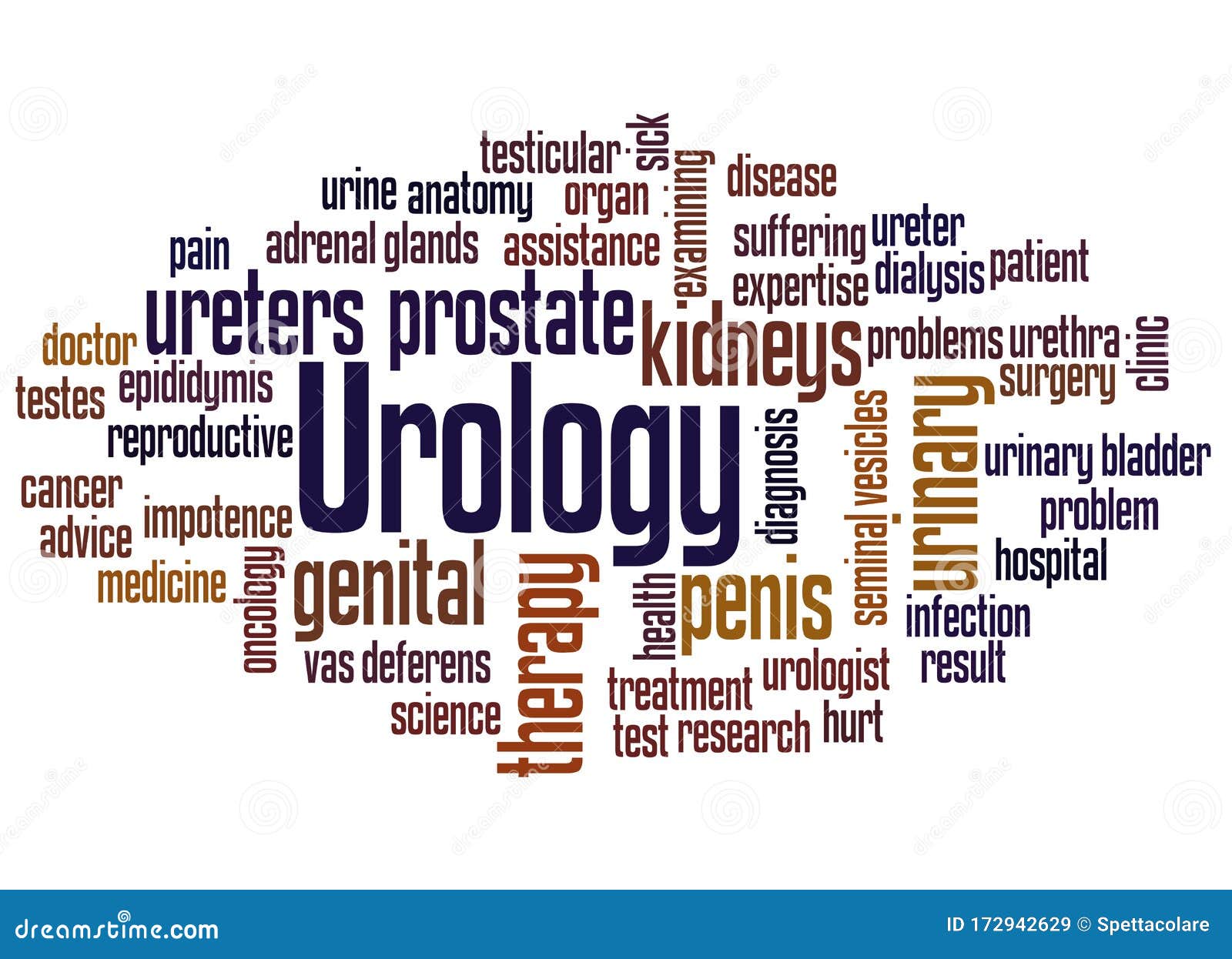 Urology word cloud concept stock illustration. Illustration of patient ...