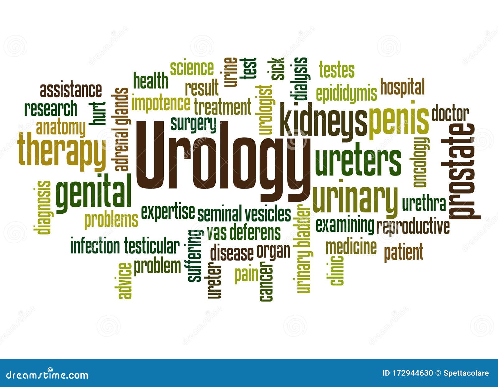 Urology Concept. Idea Of Kidney And Bladder Treatment Cartoon Vector ...