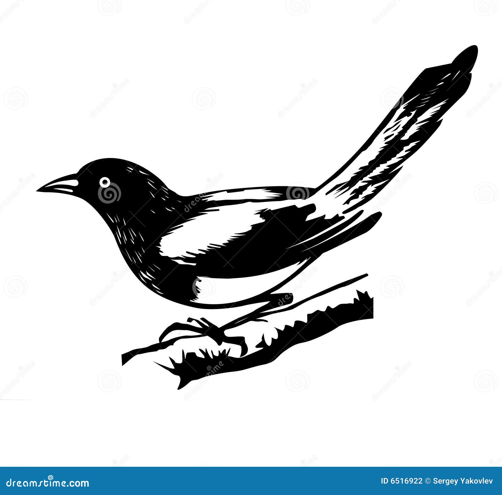 Urraca de la ilustración ilustración del vector. Ilustración de fulgor ...