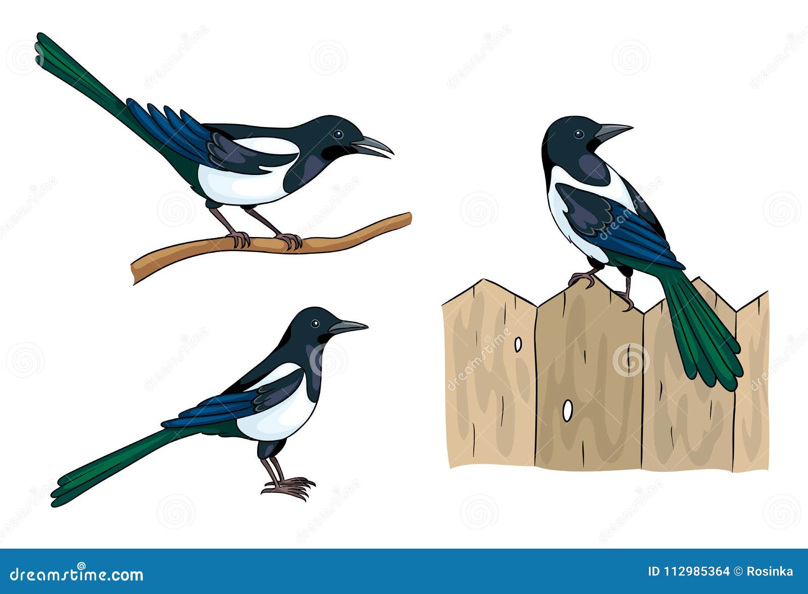 Urracas - Ejemplo Del Vector Ilustración del Vector - Ilustración de ...