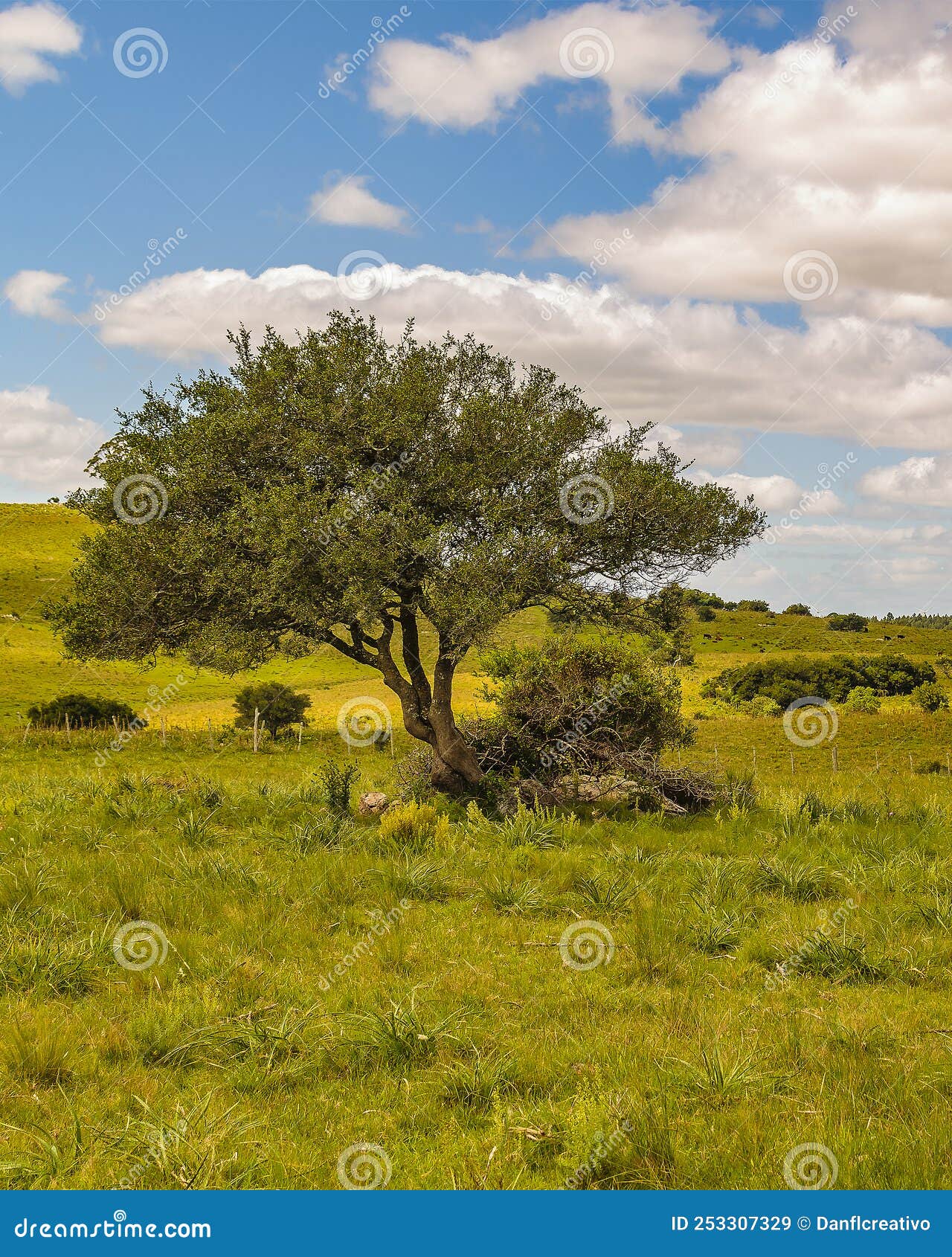 Uruguay Countryside Landscape Stock Image - Image of landscape, south ...