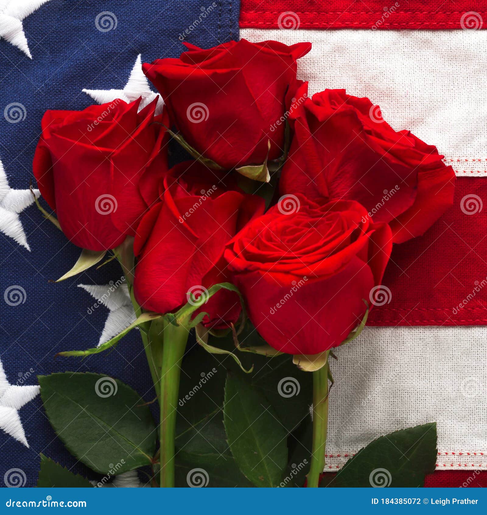 US American Flag with Roses Stock Photo - Image of funeral, states ...
