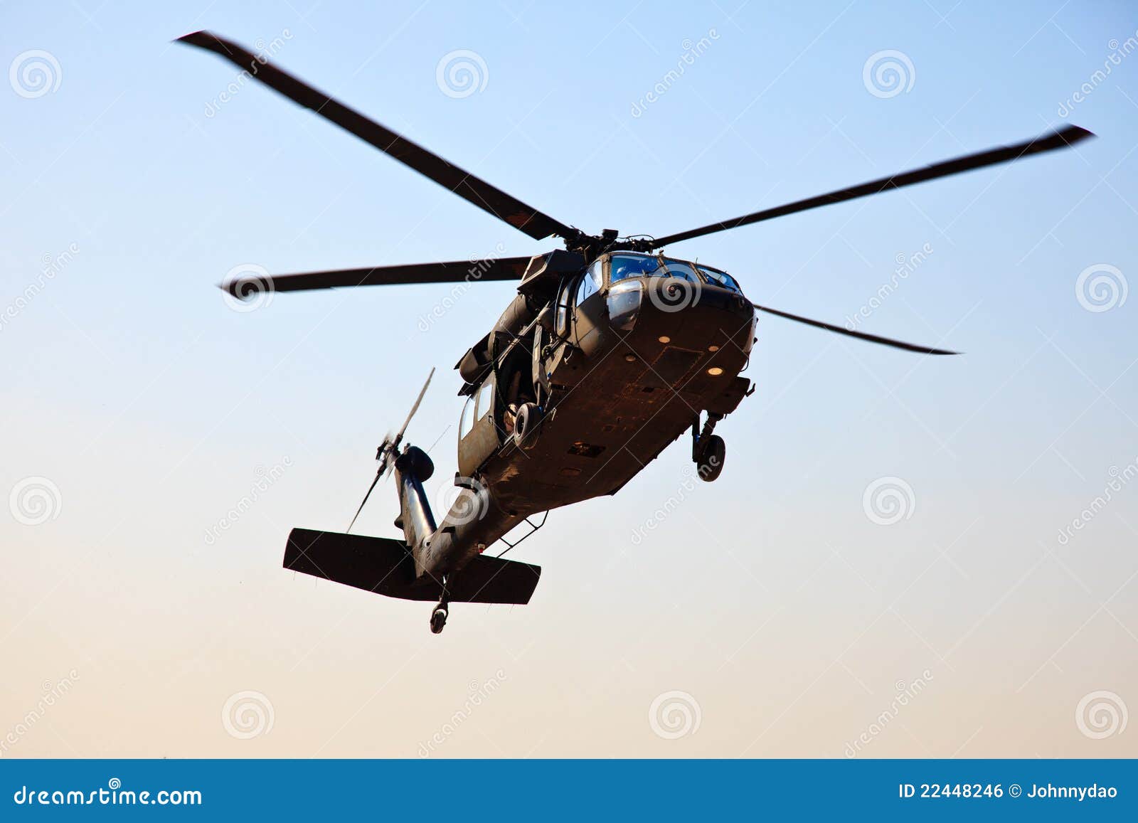 US Army Blackhawks editorial photo. Image of helo, chopper - 22448246
