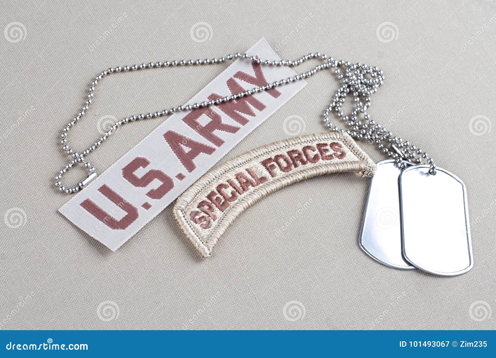 US ARMY special forces tab stock image. Image of silver - 101493067