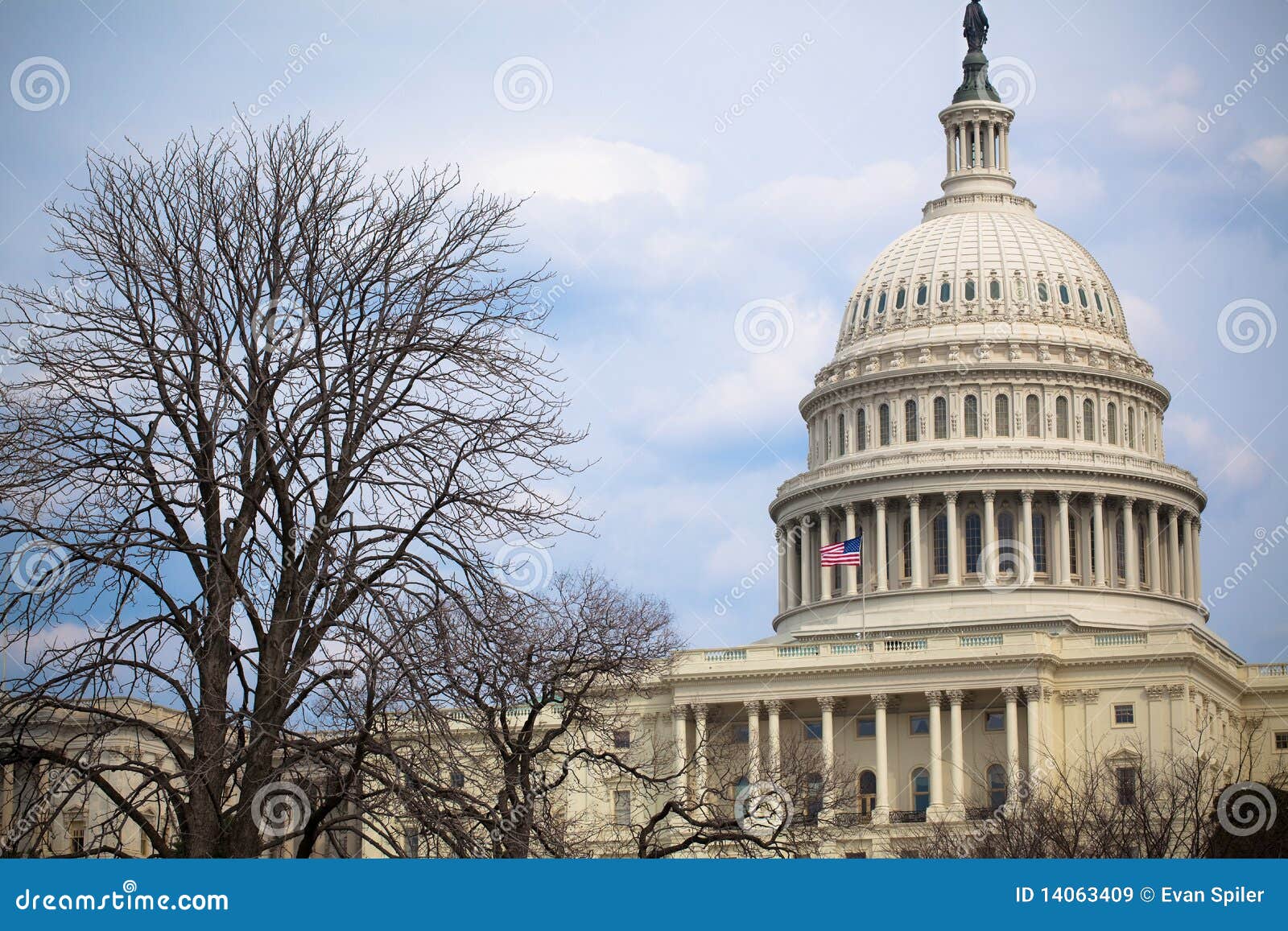 US Capitol Building stock image. Image of tree, city - 14063409