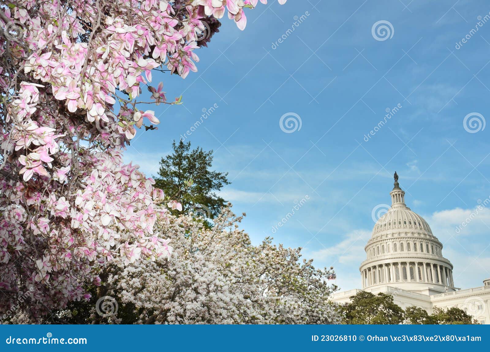 US Capitol Building in Spring, Washington DC, USA Stock Photo - Image ...