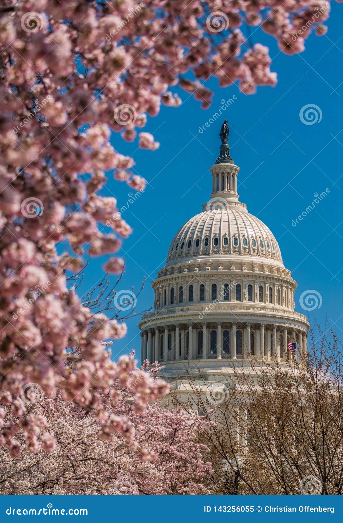 US Capitol Building during Springtime Stock Image - Image of federal ...