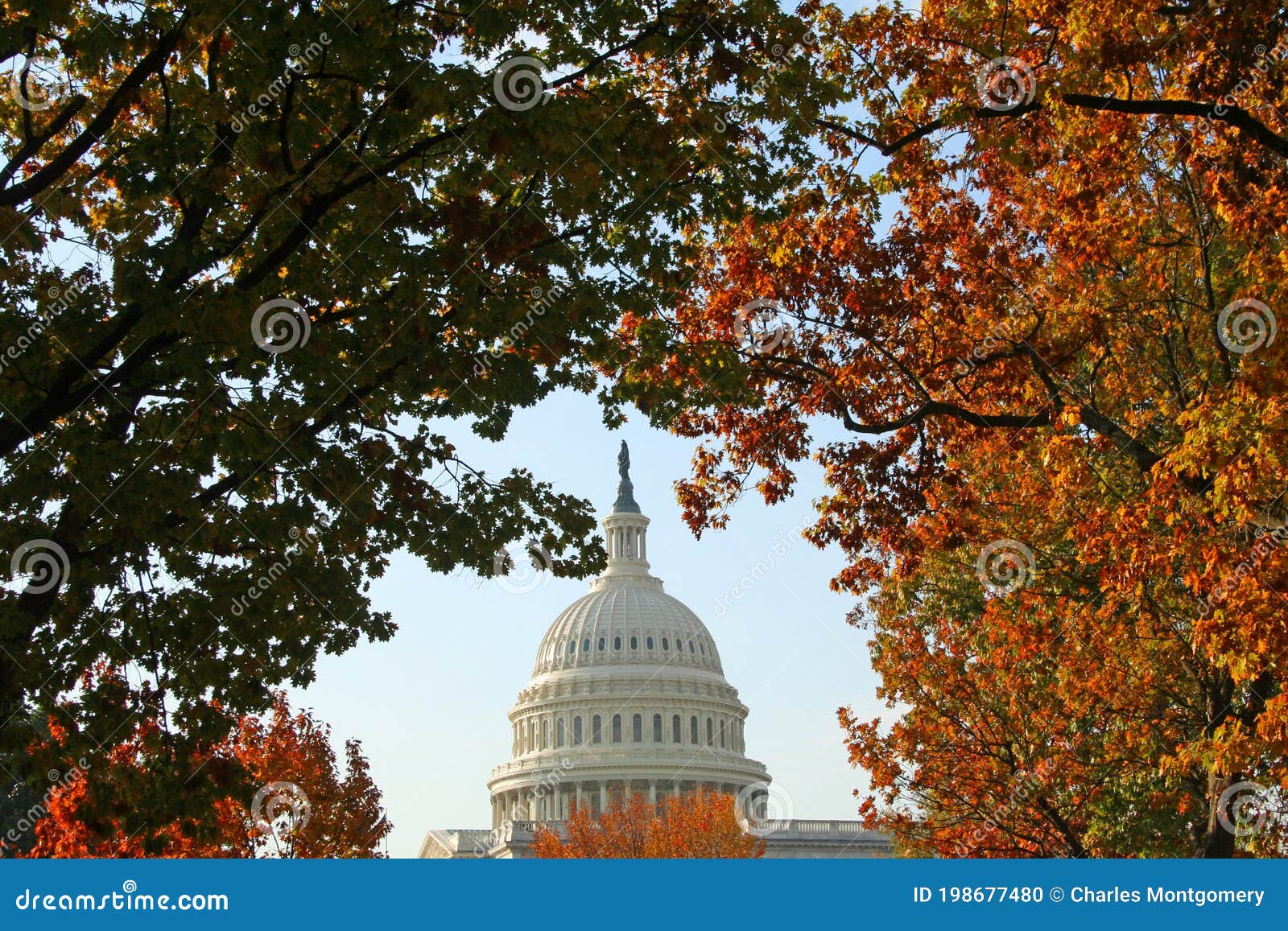 US Capitol Dome through the Autumn Trees Stock Photo - Image of season ...
