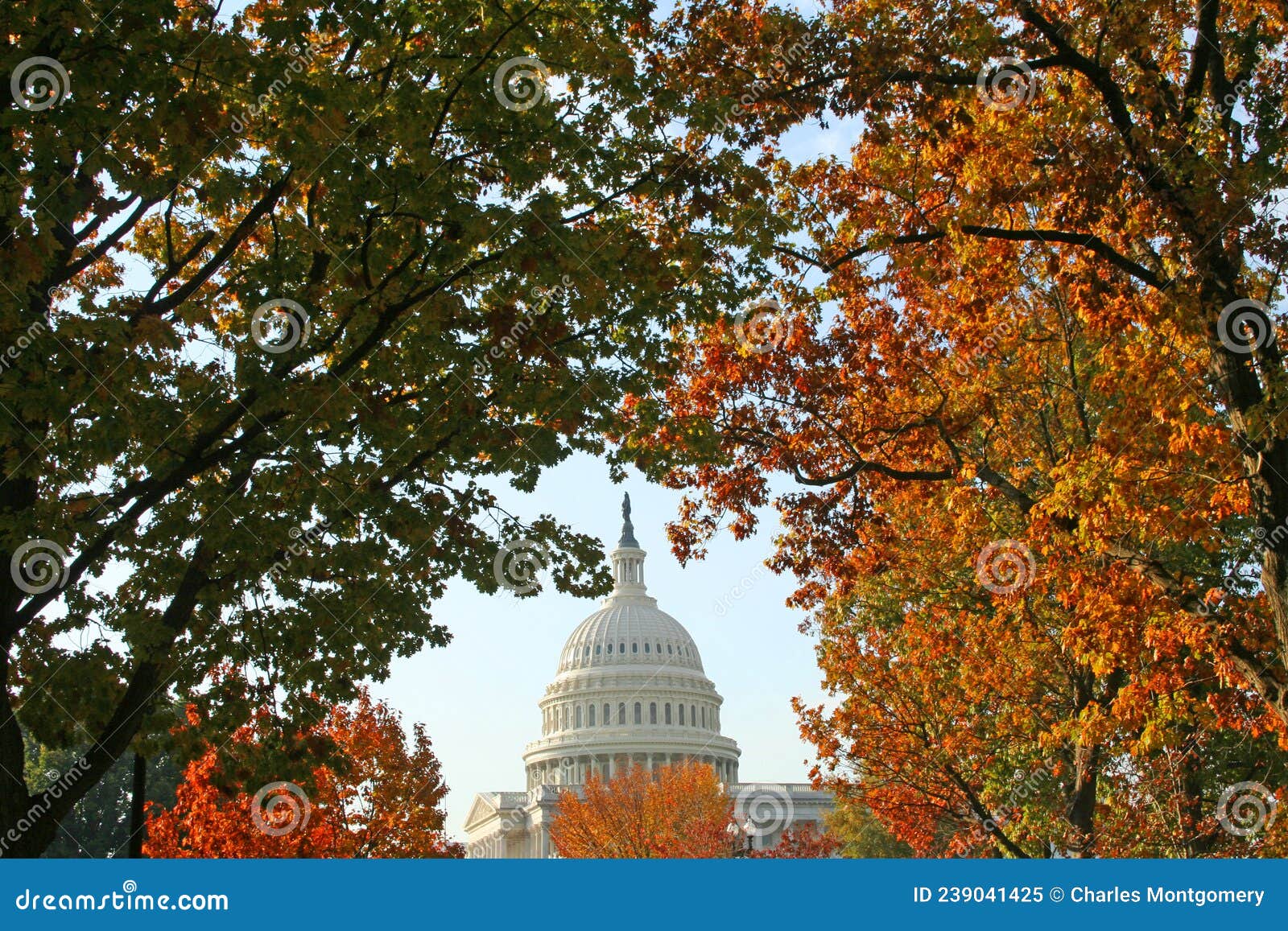 US Capitol in the Fall stock image. Image of autumn - 239041425