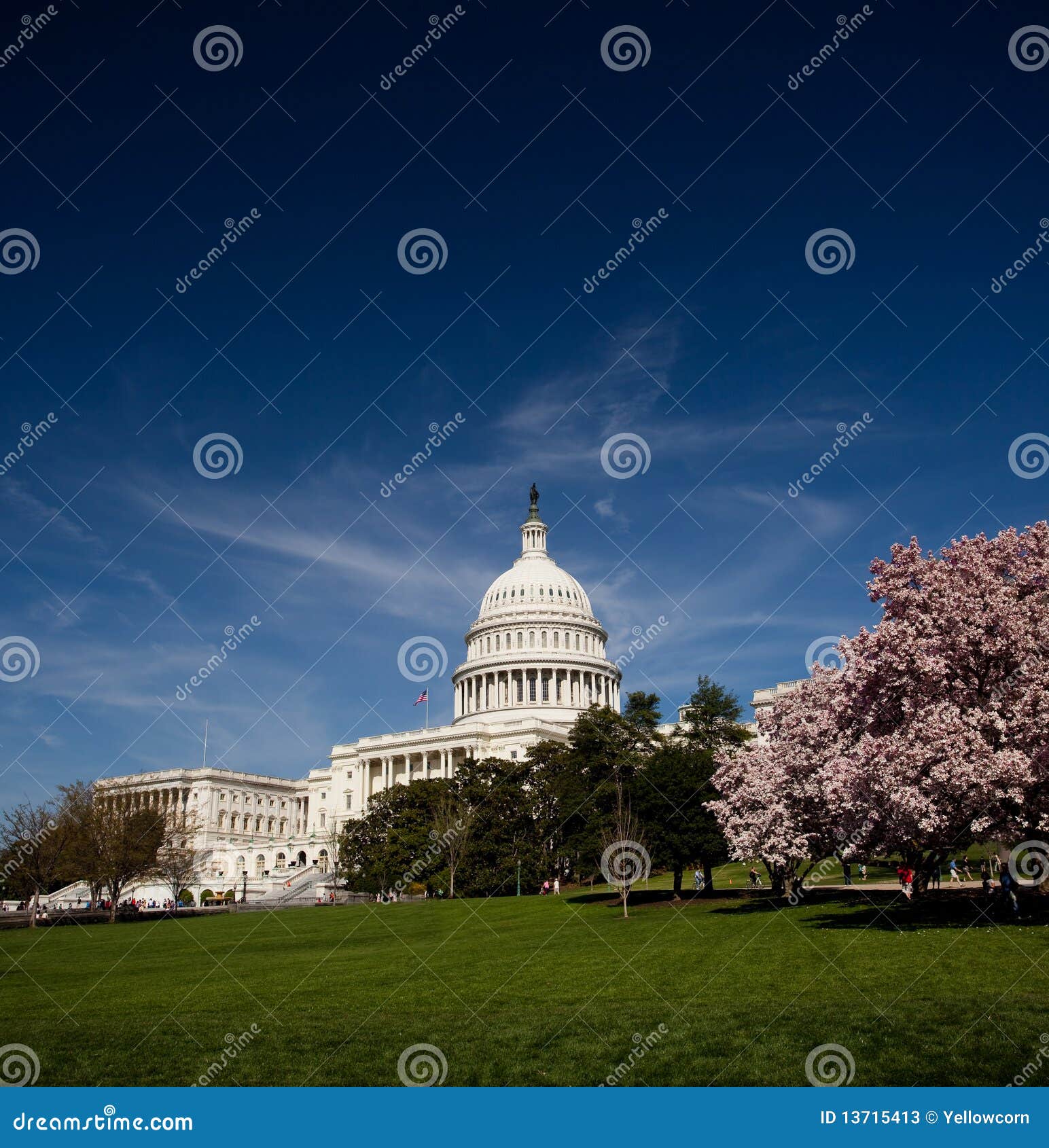 US Capitol up close stock image. Image of fountain, tree - 13715413