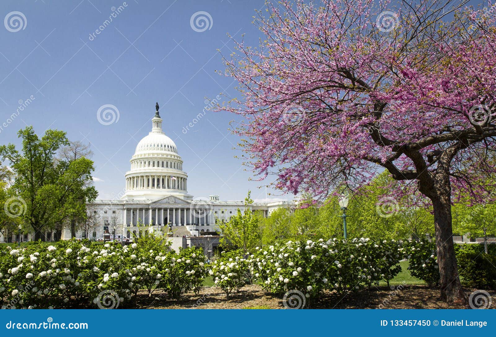 The US Capitol in Washington DC at Spring Stock Photo - Image of ...