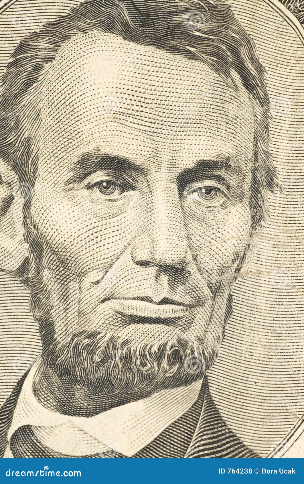 US dolar stock photo. Image of payment, euro, buying, paper - 764238