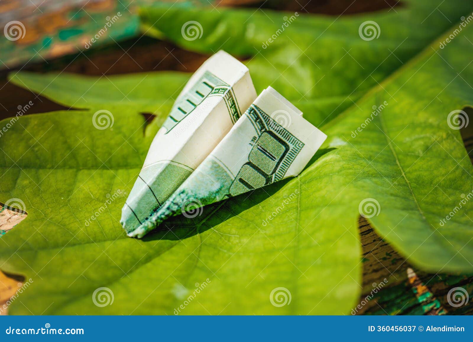 One Dollar Airplane Royalty-Free Stock Photo | CartoonDealer.com #36268239