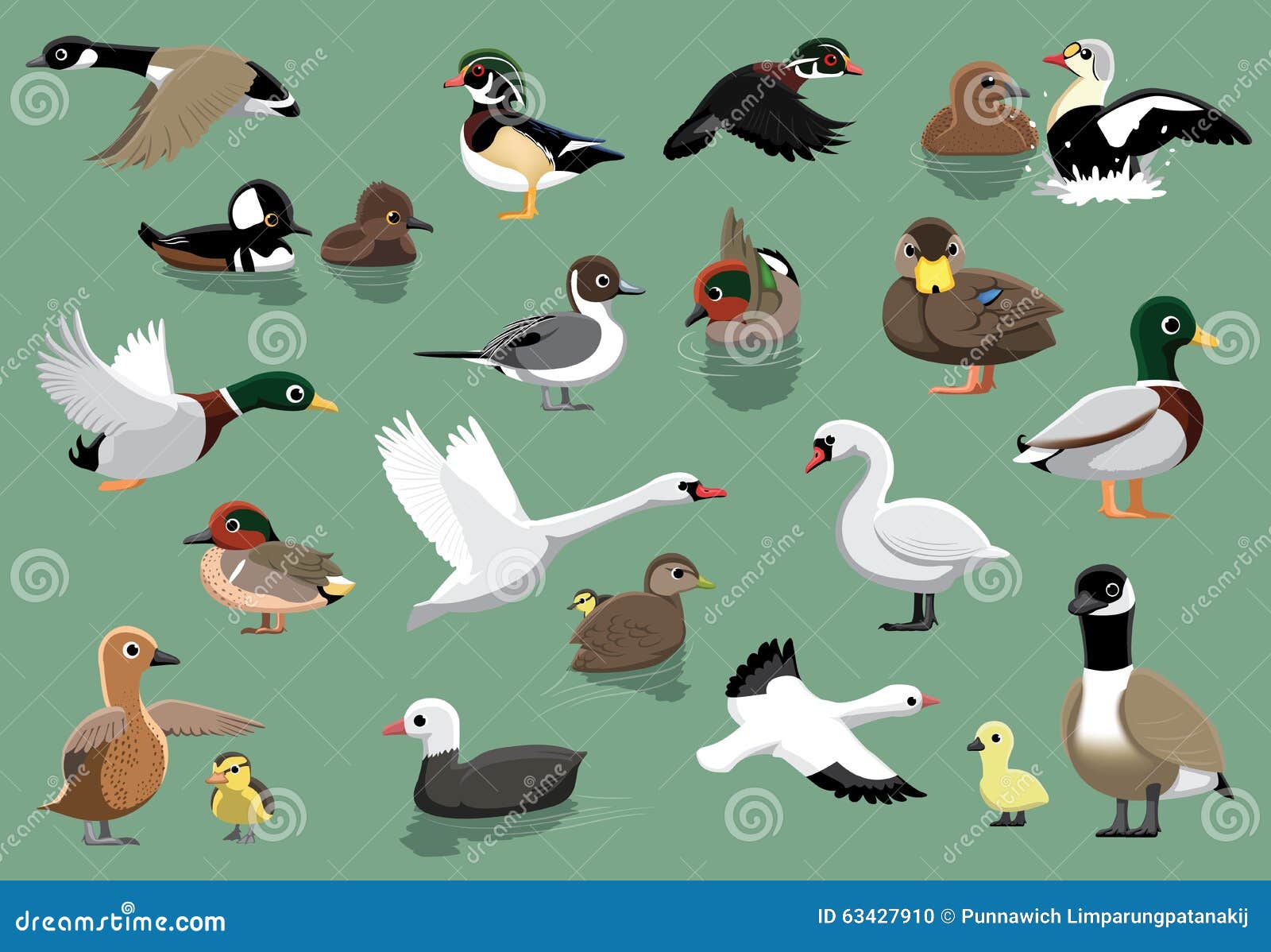 US Ducken Karikatur-Vektor-Illustration Vektor Abbildung - Illustration ...