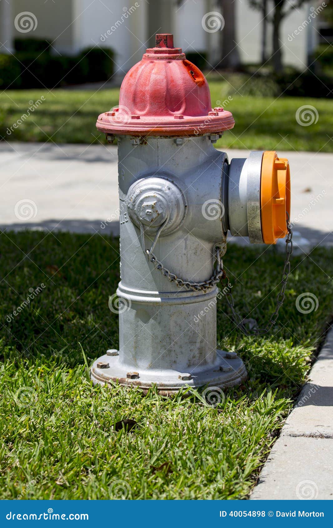 US fire hydrant stock photo. Image of water, safety, grass - 40054898