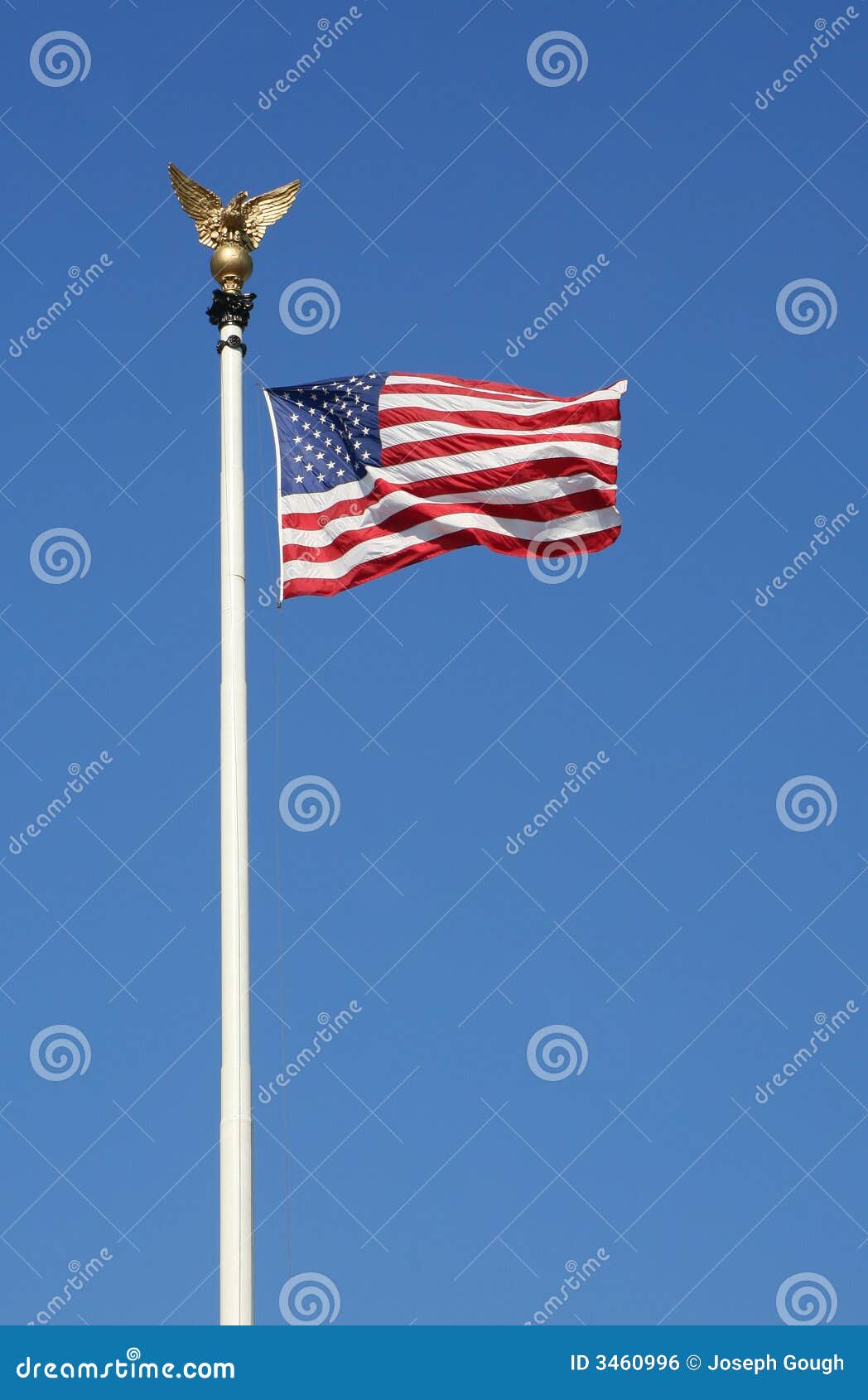 US Flag stock photo. Image of flag, blue, stars, gilt - 3460996